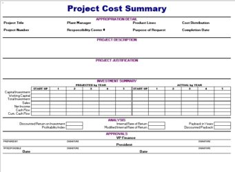 Project Cost Summary Template - Blue Layouts